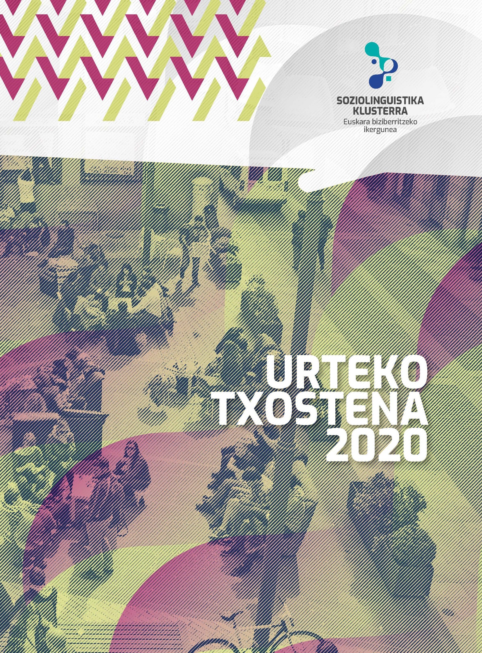 2020 urteko txostena - Soziolinguistika Klusterra